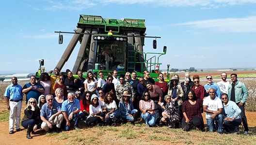 Who we are - Cotton SA