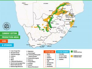 Cotton Facts - Cotton SA