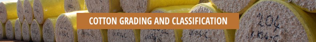 Cotton Grading and Classification - Cotton SA
