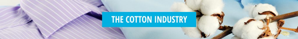 The Cotton Industry - Cotton SA