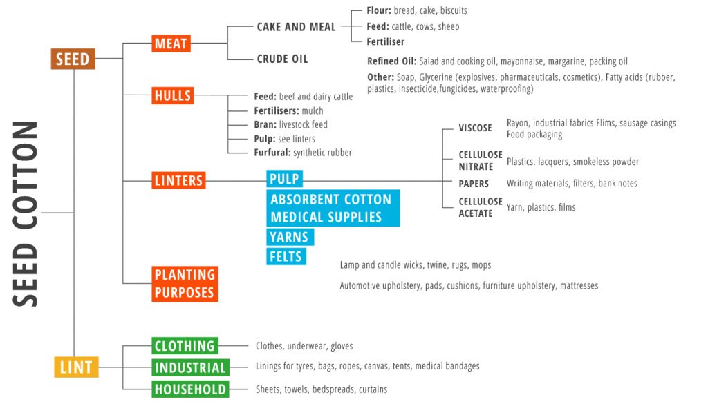 Cotton Facts - Cotton SA